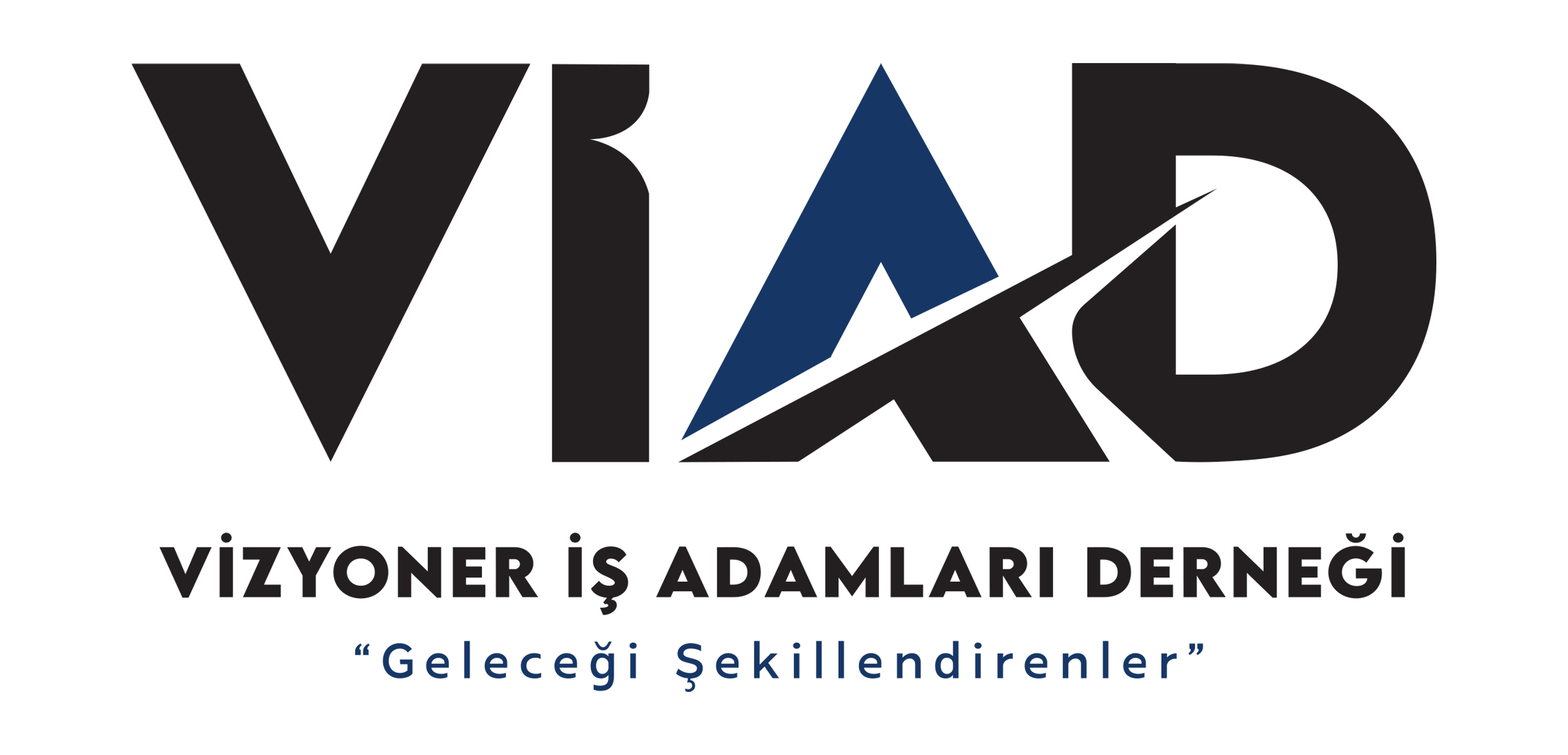 VİAD - Vizyoner İş Adamları Derneği | Geleceği Şekillendirenler